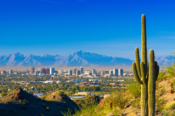 Arizona PSPRS to overhaul private markets portfolio