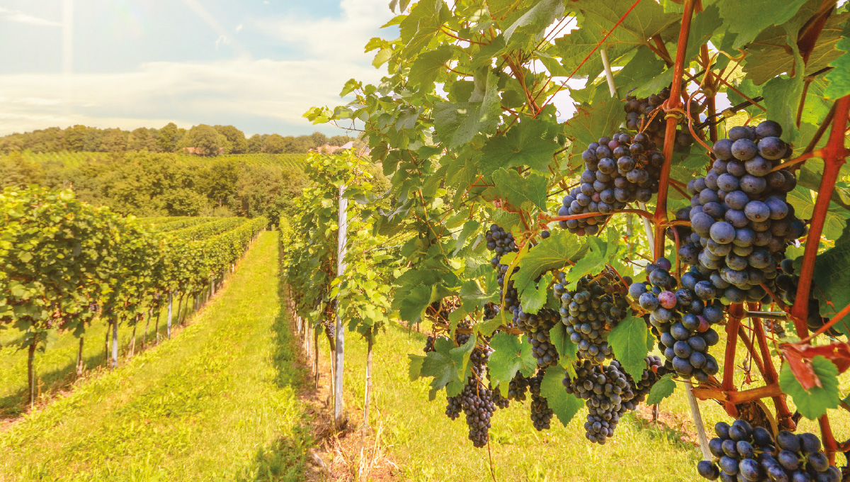 EQT: Why impact investing is on the crest of a wave