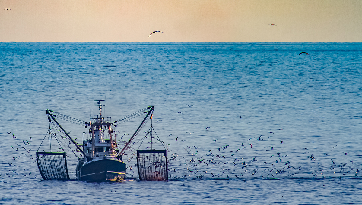 Northleaf Capital Partners: Secondaries market widens its net